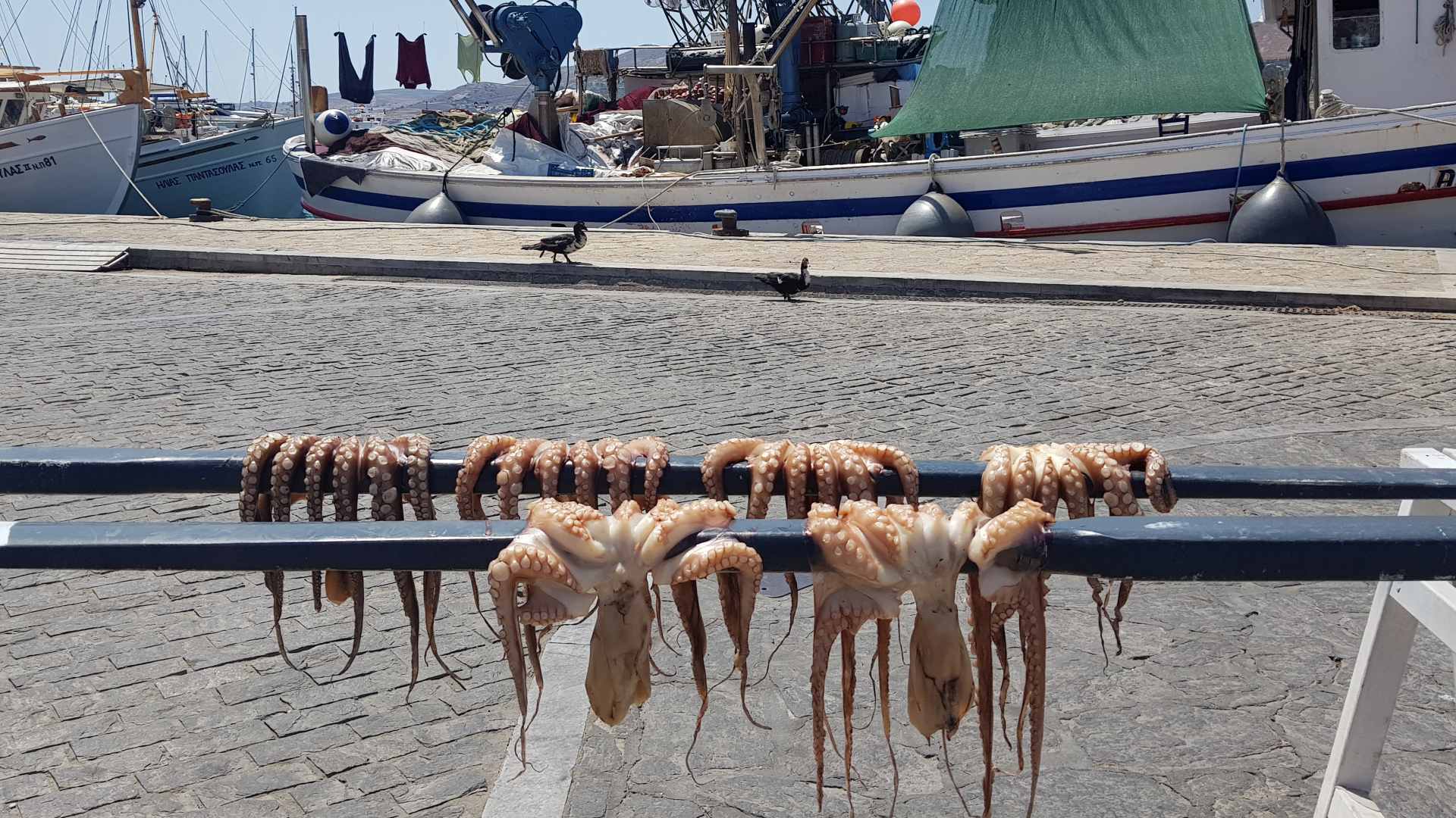 Naoussa Paros Guide: 16 Best Things to Do in This Chic Town | Take Me ...