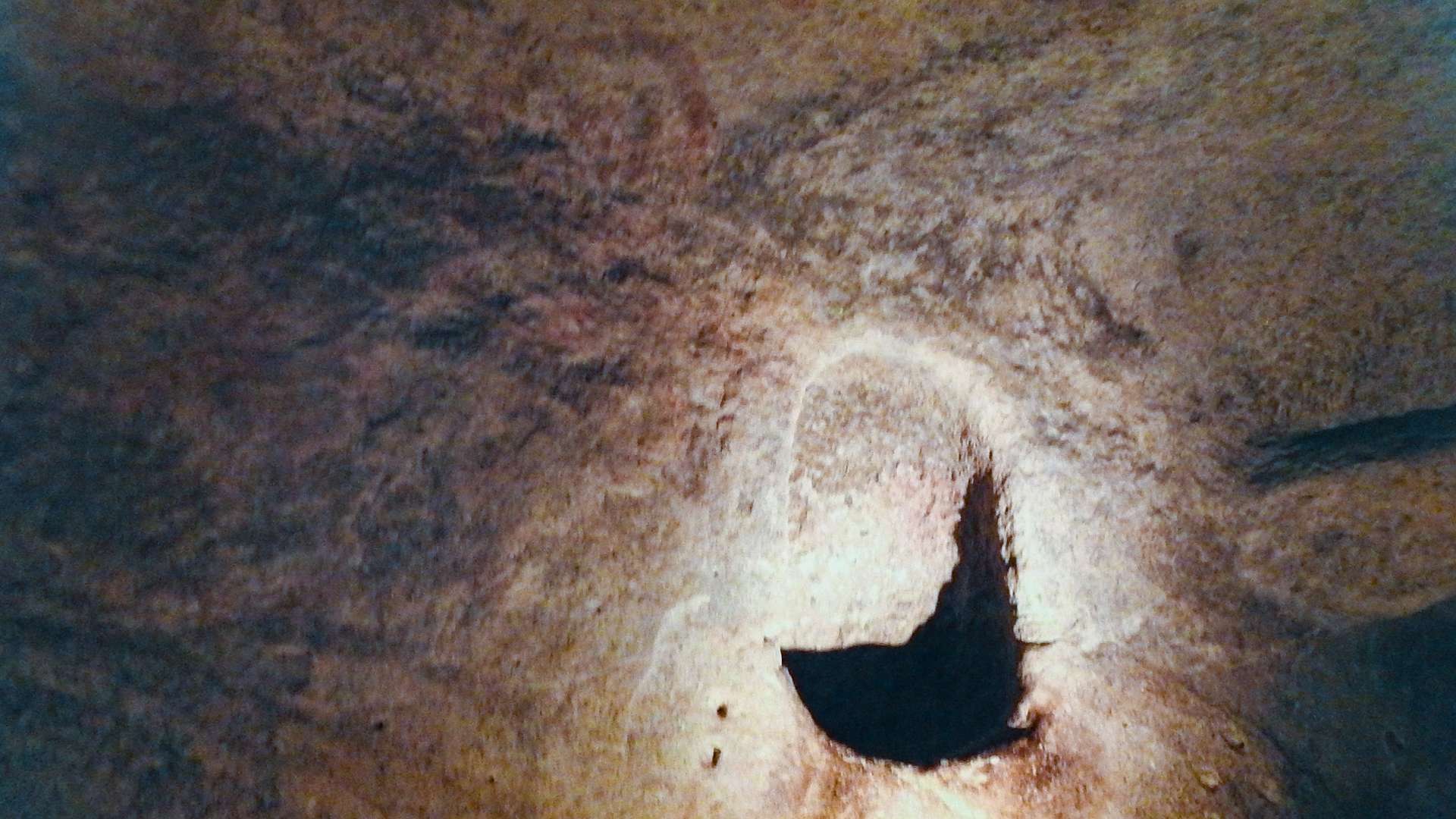 Complete Guide to the Ħal Saflieni Hypogeum, Malta | Take Me To Europe ...