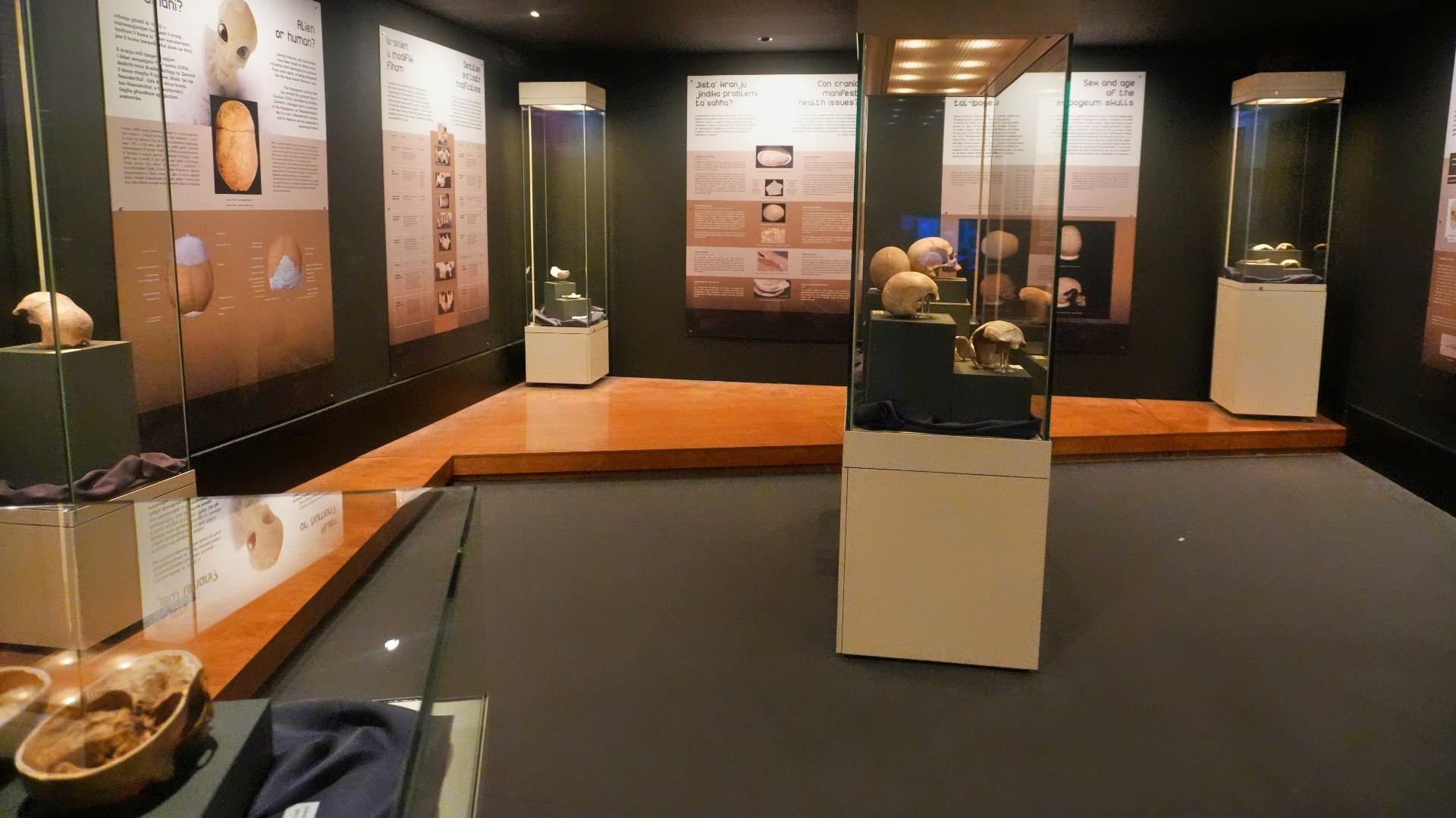 Complete Guide to the Ħal Saflieni Hypogeum, Malta | Take Me To Europe ...